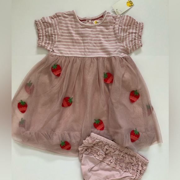 Mini Boden | Dresses | Nwt Mini Boden Strawberry Tulle Dress Set | Poshmark